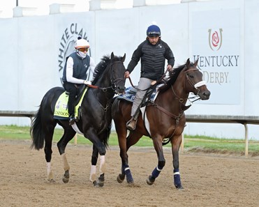 Zandon - Horse Profile - BloodHorse