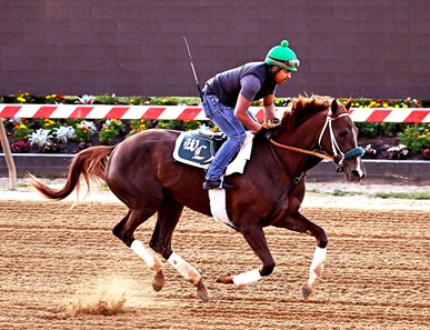 Secret Oath - Horse Profile - BloodHorse
