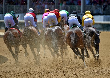 Welfare and Safety of the Racehorse Summit Concludes - BloodHorse