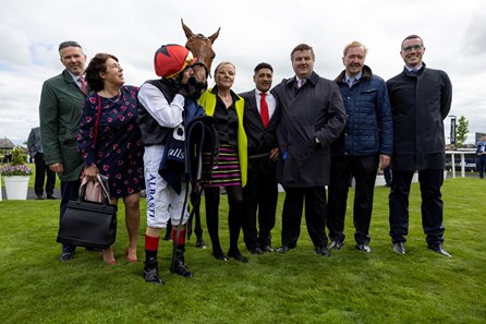 Homeless Songs (IRE) - Horse Profile - BloodHorse