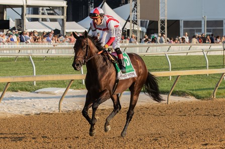 Early Voting - Horse Profile - BloodHorse