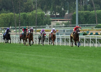 Bally's Charm - Horse Profile - BloodHorse