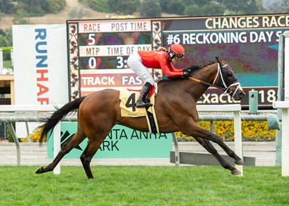 Bally's Charm - Horse Profile - BloodHorse
