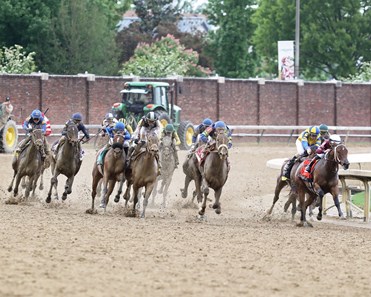 Secret Oath - Horse Profile - BloodHorse