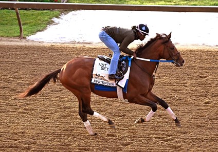 Meet the Field for the 147th Preakness Stakes - Slideshow - BloodHorse