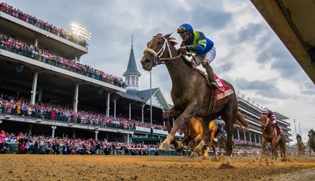 Secret Oath - Horse Profile - BloodHorse