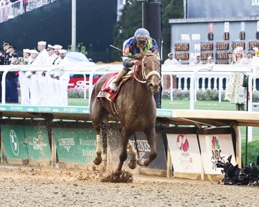 Secret Oath - Horse Profile - BloodHorse