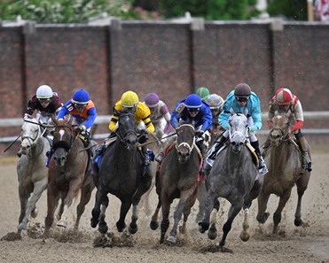 Eight Belles - Horse Profile - BloodHorse