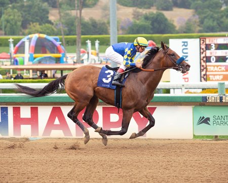 Armagnac Joins Preakness Lineup - BloodHorse