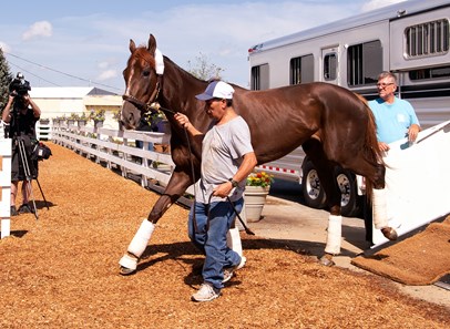 Secret Oath - Horse Profile - BloodHorse