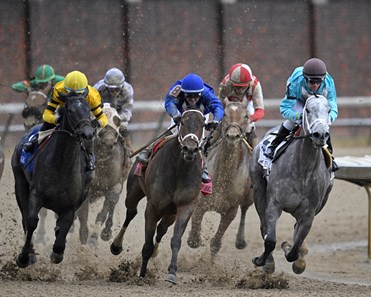 Eight Belles - Horse Profile - BloodHorse