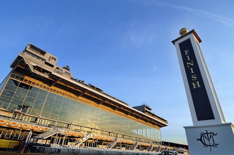 Meet the Field for the 147th Preakness Stakes - Slideshow - BloodHorse