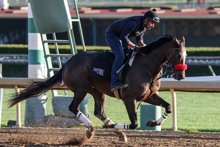Hot Rod Charlie - Horse Profile - BloodHorse