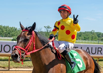 Nick Papagiorgio - Horse Profile - BloodHorse