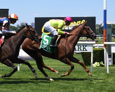 Eminent Victor Becomes First Stakes Winner for Mr. Z - BloodHorse