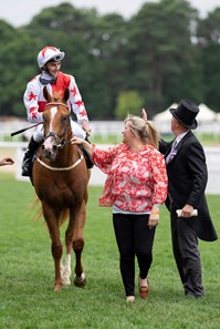 Holloway Boy (GB) - Horse Profile - BloodHorse