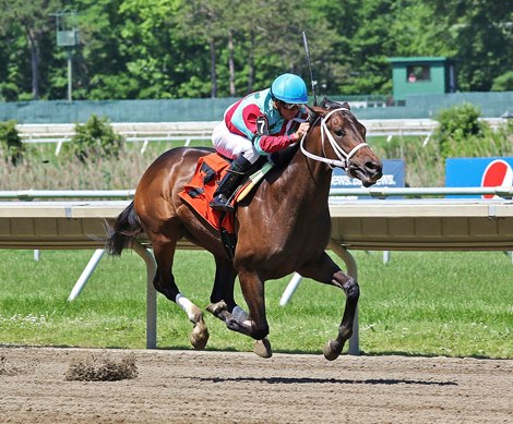 Great Navigator Becomes First Winner for Sea Wizard - BloodHorse