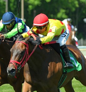 Nick Papagiorgio - Horse Profile - BloodHorse
