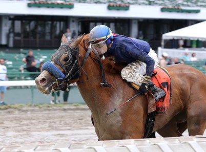 Our Man Luke - Horse Profile - BloodHorse