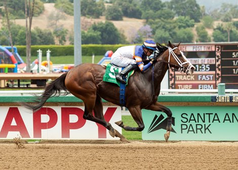 Becca Taylor Improves to 8-for-9 in Desert Stormer - BloodHorse