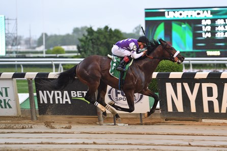 Capone - Horse Profile - BloodHorse