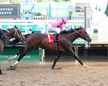 Big Blue Line - Horse Profile - BloodHorse