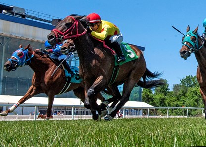 Nick Papagiorgio - Horse Profile - BloodHorse