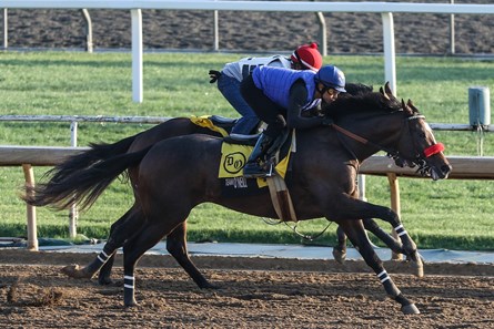Hot Rod Charlie - Horse Profile - BloodHorse