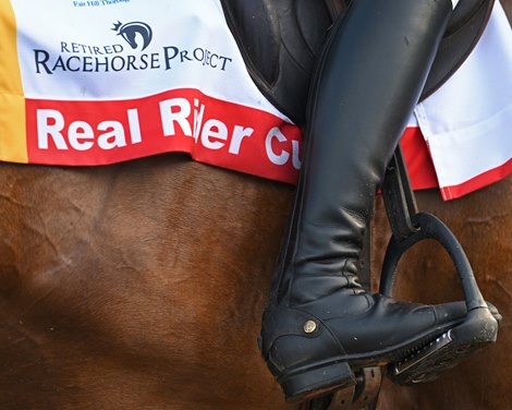 Retired Racehorse Project Offers New Horse Listings - BloodHorse