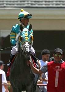Field Pass - Horse Profile - BloodHorse