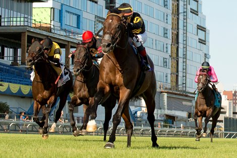 Nearctic Proves Next Stop for Bound for Nowhere - BloodHorse