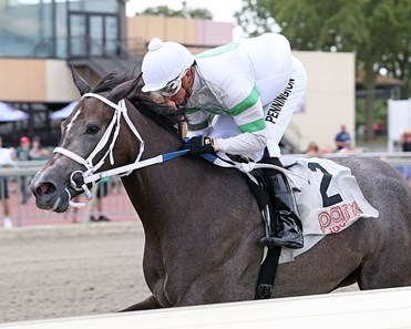 Uptown Amanda - Horse Profile - BloodHorse