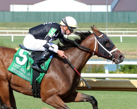 Interstatedaydream to Duel Green Up in Doubledogdare - BloodHorse