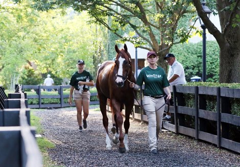 F-T July Selected Horses of Racing Age Catalog Online - BloodHorse