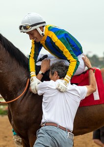 Irideo (ARG) - Horse Profile - BloodHorse