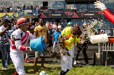Rosebud's Hope - Horse Profile - BloodHorse