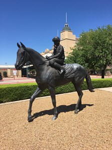 Alysheba - Horse Profile - BloodHorse