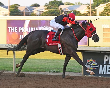 Tyler's Tribe First Stakes Winner for Sharp Azteca - BloodHorse