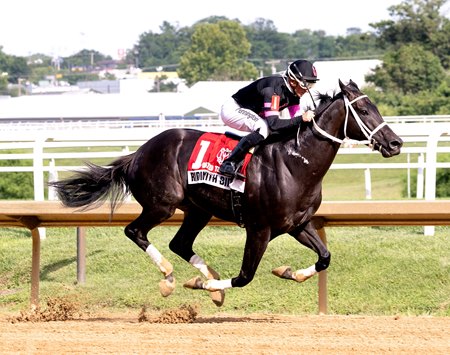 Riden With Biden Strolls in Deputed Testamony - TrueNicks.com