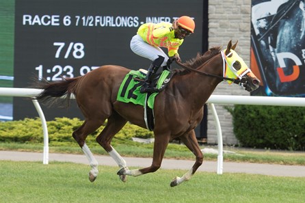 Rosebud's Hope - Horse Profile - BloodHorse
