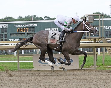 Uptown Amanda - Horse Profile - BloodHorse