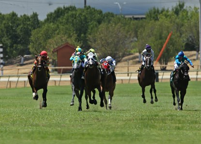 Field Pass - Horse Profile - BloodHorse