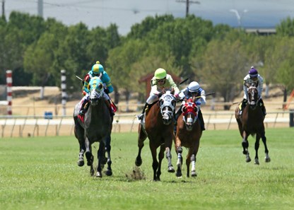 Field Pass - Horse Profile - BloodHorse