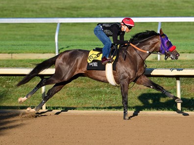 Hot Rod Charlie - Horse Profile - BloodHorse