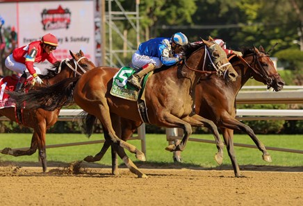 Malathaat - Horse Profile - BloodHorse