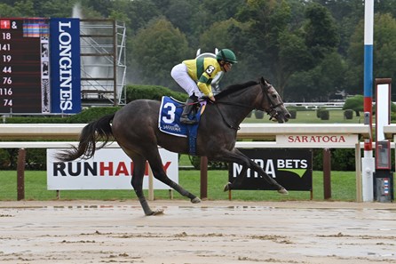 Maple Leaf Mel - Horse Profile - BloodHorse