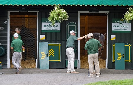 Quality Road - Horse Profile - BloodHorse