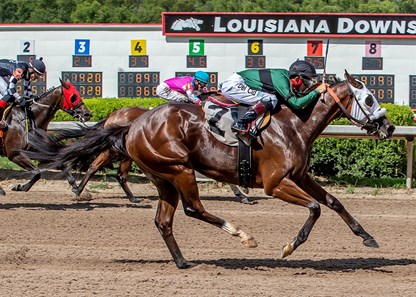 Janet Is Ready - Horse Profile - BloodHorse