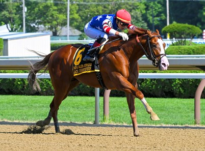 Jack Christopher - Horse Profile - BloodHorse