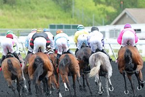 Thoroughbred Racing - BloodHorse